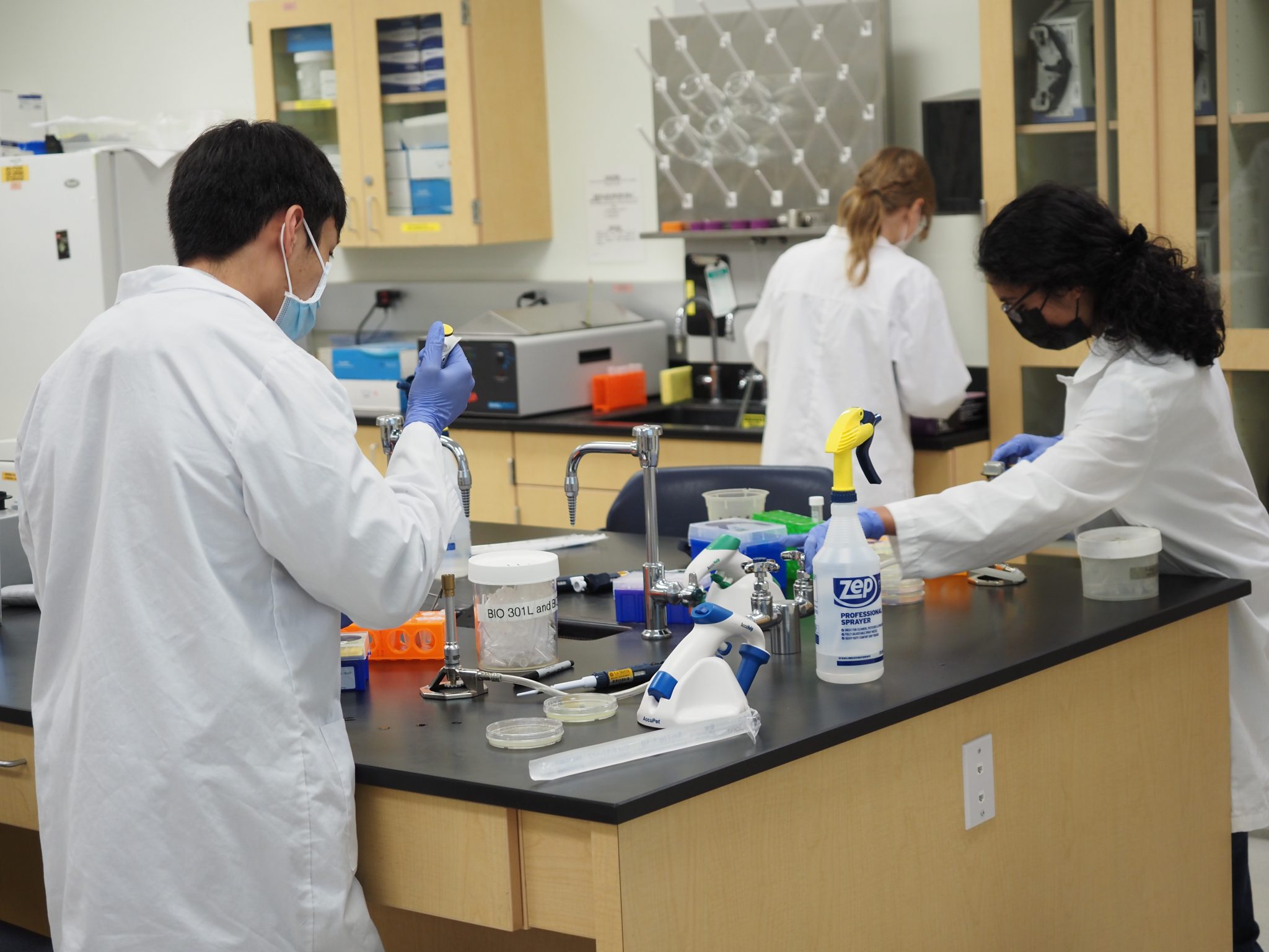 SEA-GENES: Discovering Bacteriophage Genes, Friends, and the Vital ...